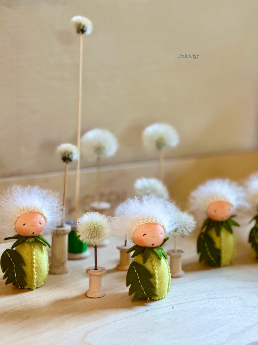 Dandelion Puff – Dollbelge