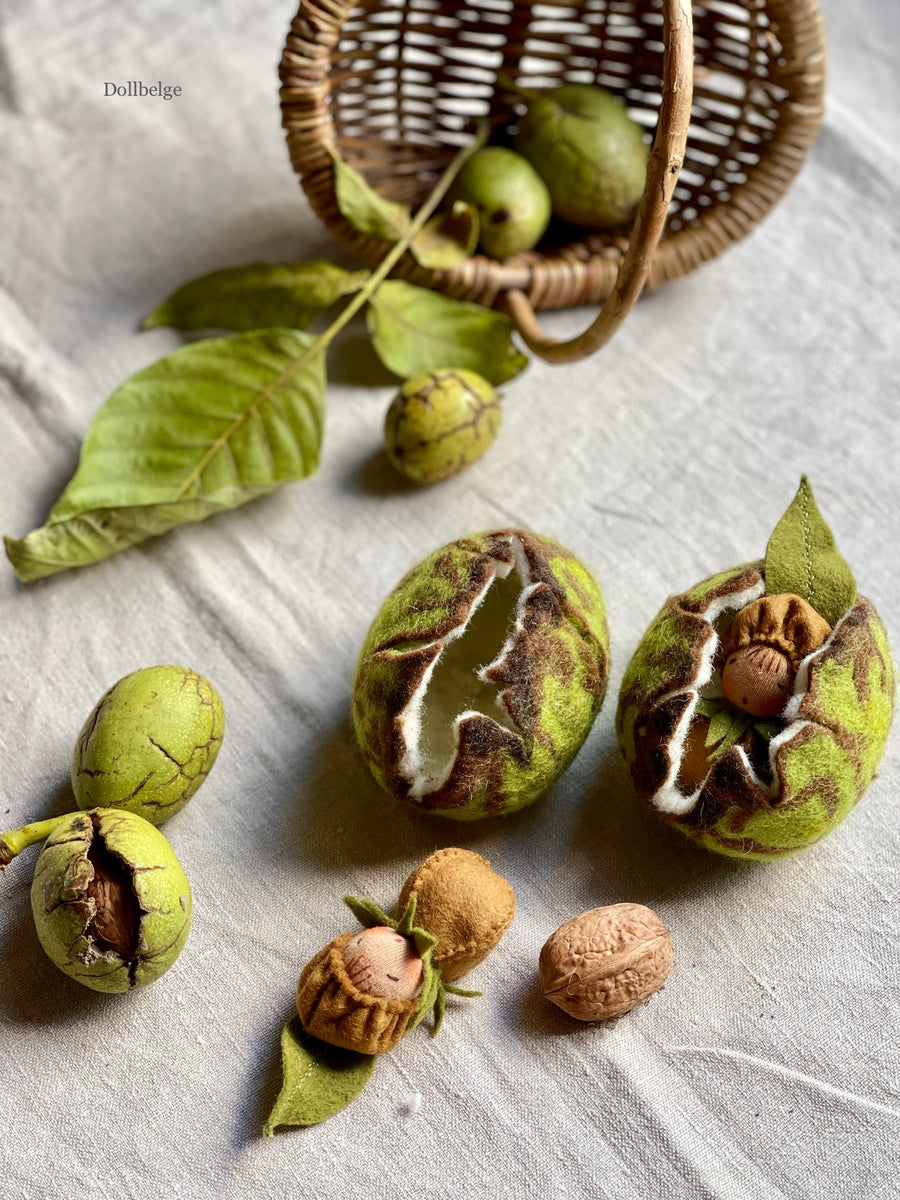 Walnut Baby – Dollbelge